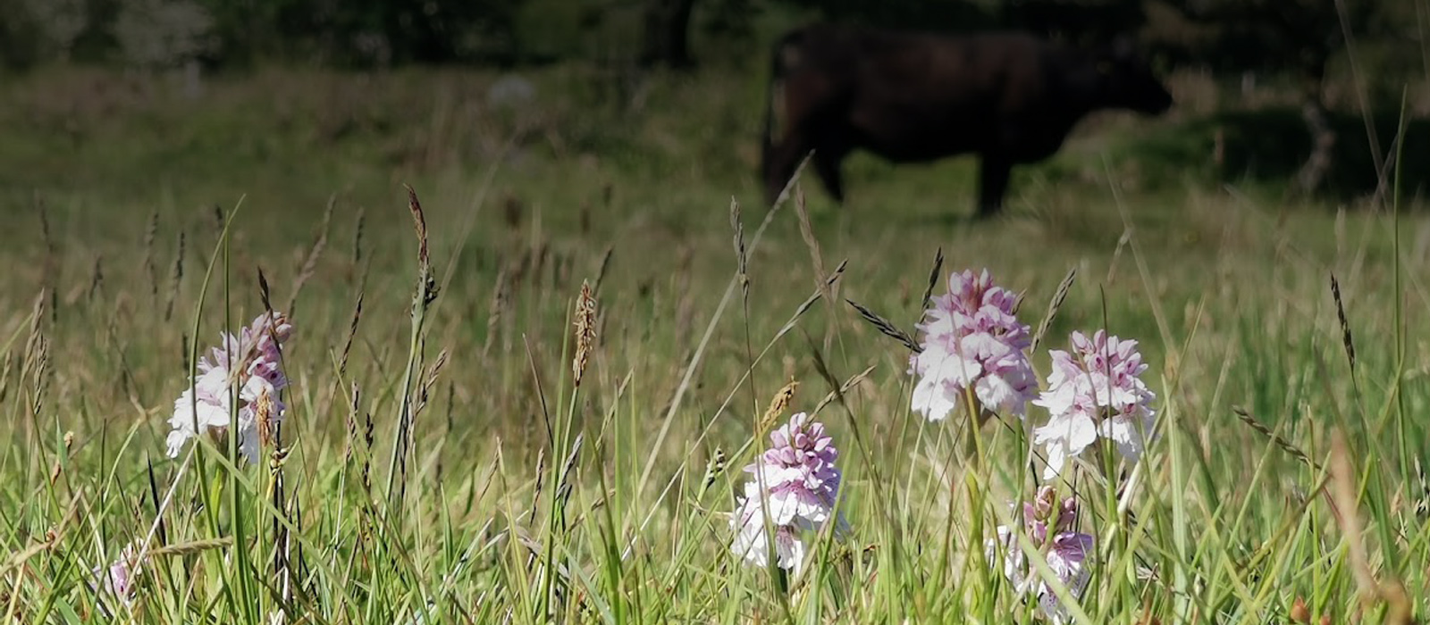 Find certified sustainable farms and products near you.